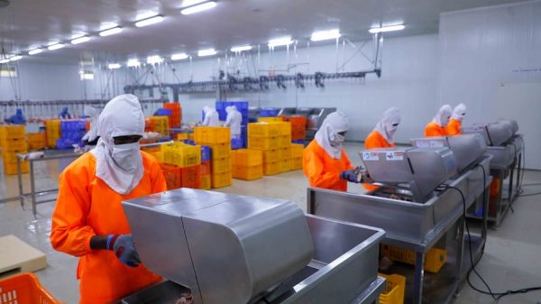 Processing Plant - Coastal Farms and Feeds